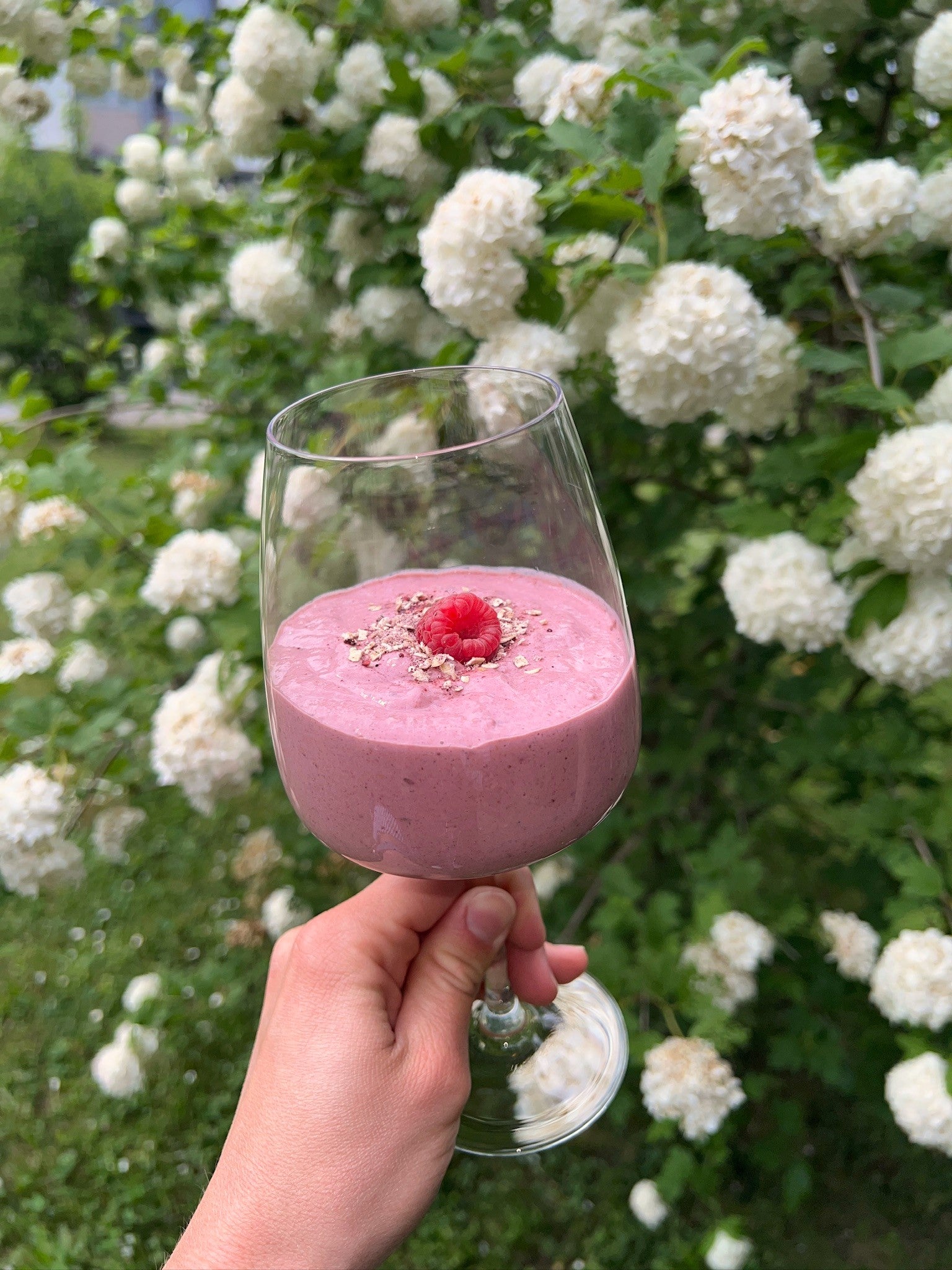 Berry Power Smoothie – Wheycation